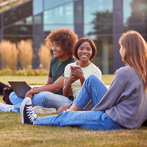 Networking Across Cultures: Emphasizing Diversity in Connections ...