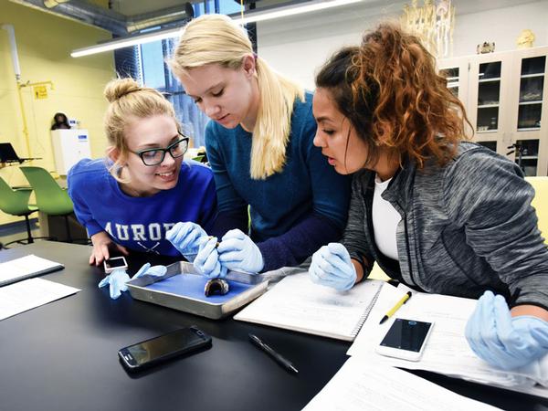 Aurora University - Tuition Rewards by SAGE Scholars